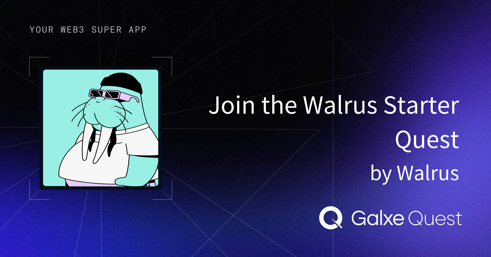 Join the Walrus Starter Quest by Walrus | Galxe Quest