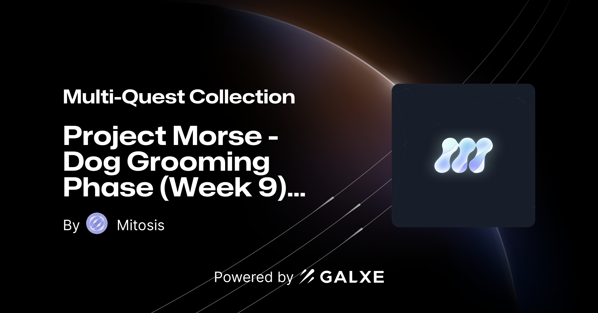 Project Morse - Dog Grooming Phase (Week 9) by Mitosis | Galxe Quest